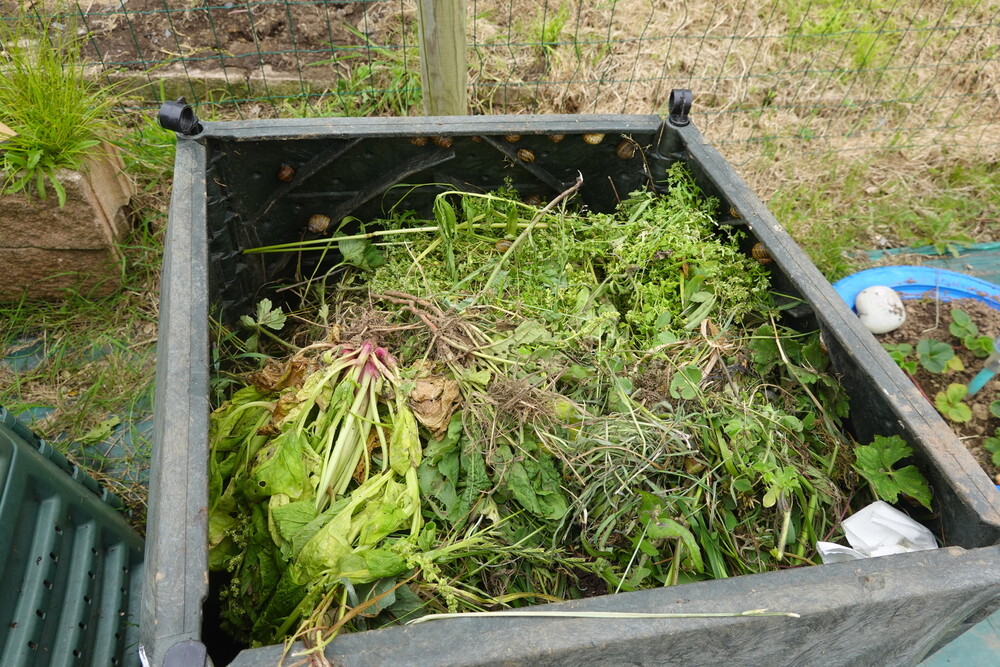 How to Set Up a Compost Bin | Sibley Landscapes
